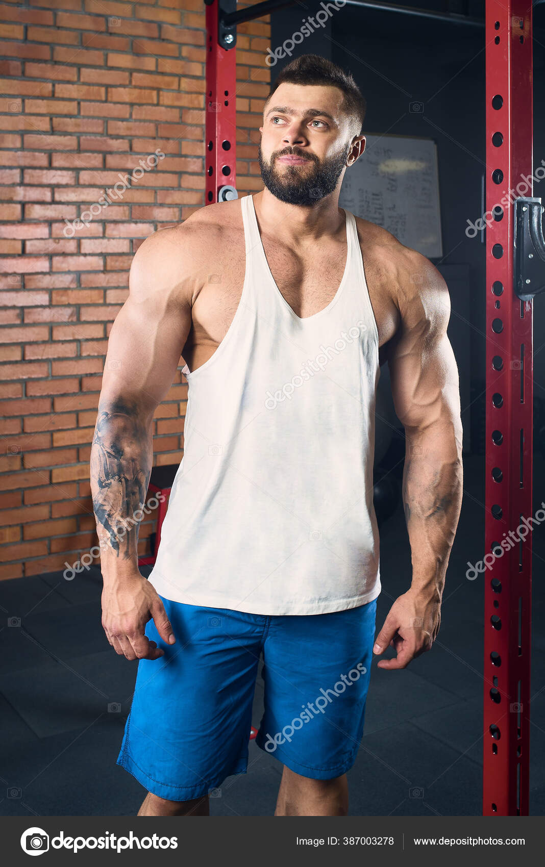 Bodybuilder Tattoos Beard Looking Away Muscular Shredded Man White Tank ...