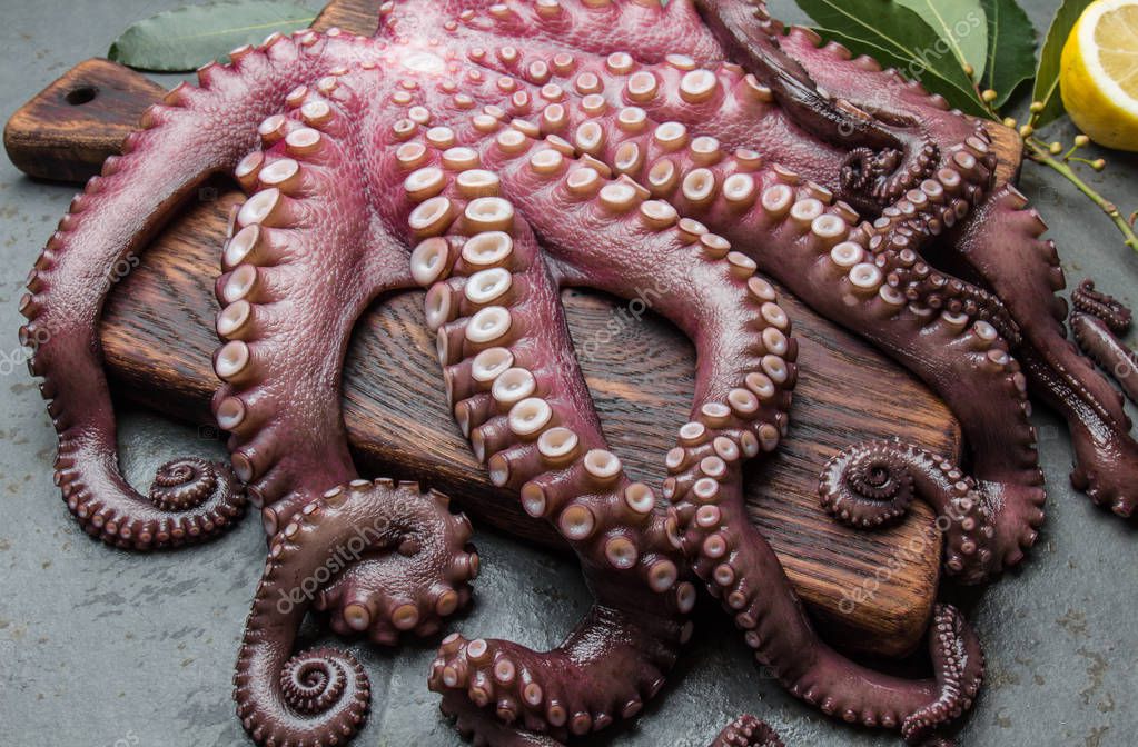 Pulpo de mariscos. Pulpo crudo fresco entero sobre tabla de madera con ...