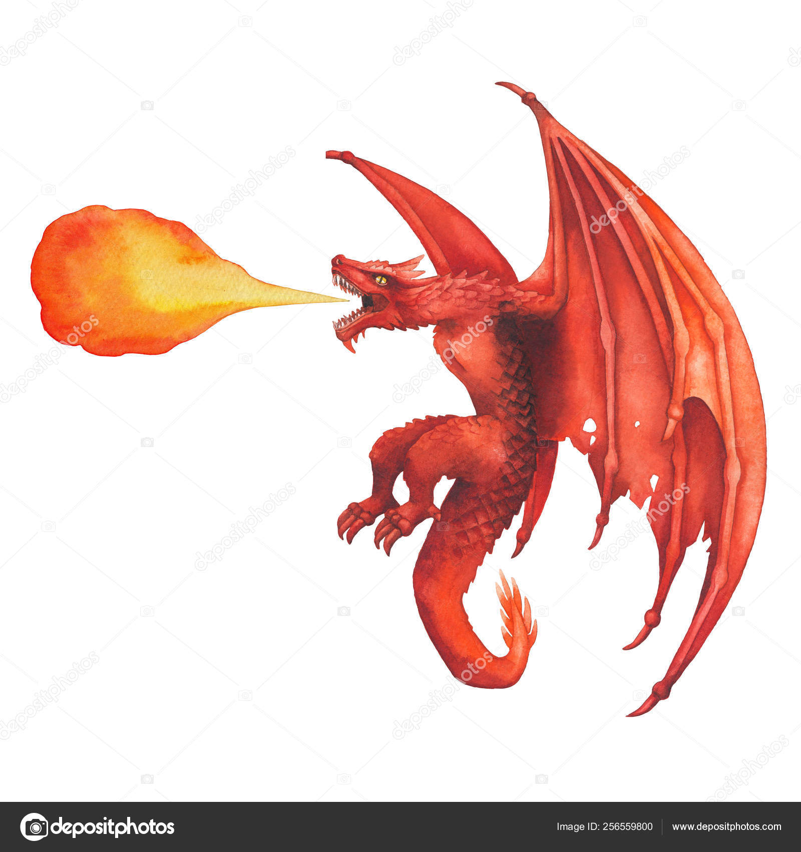 Dragon Flying Side View