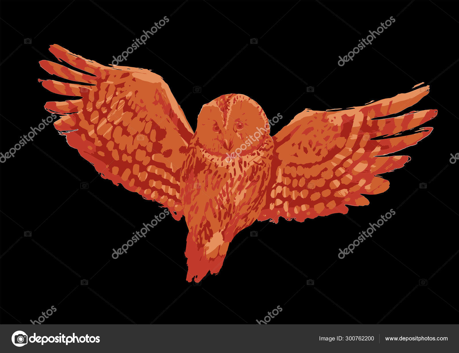 Palabras Clave Relacionadas Con Búho Volador Virginian Owl: An