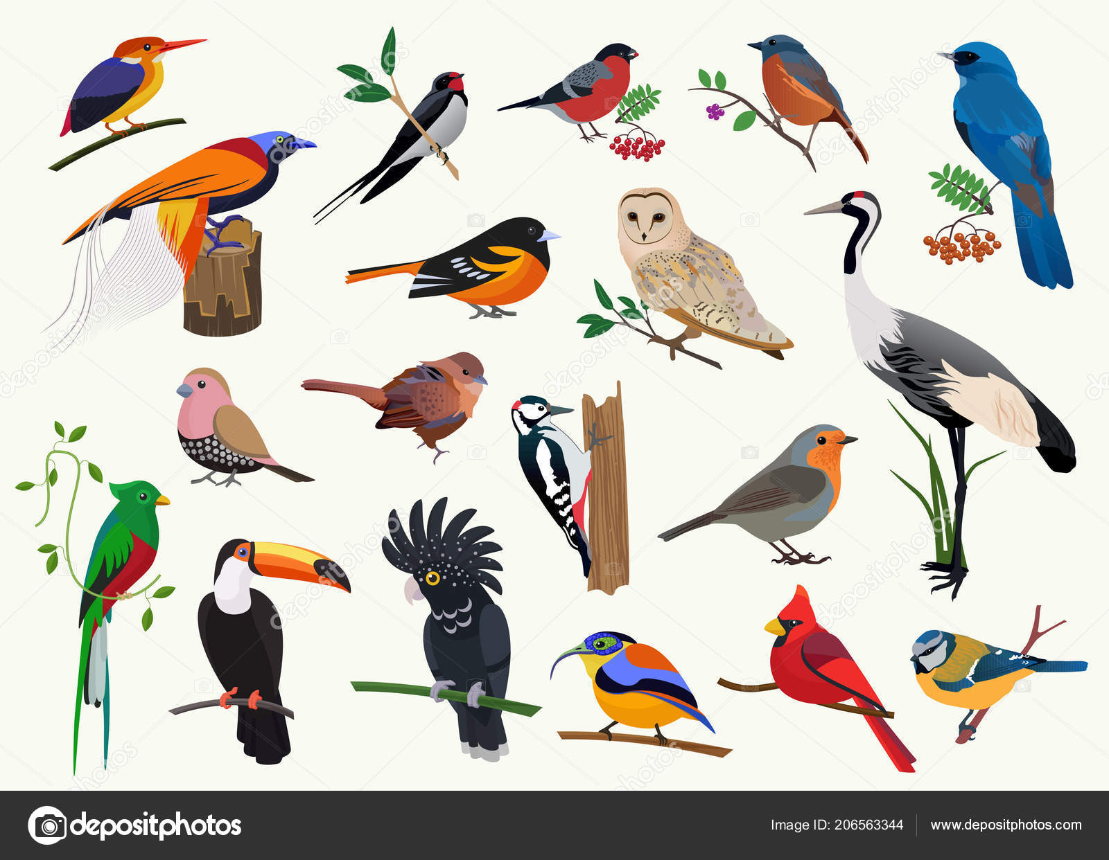 Various cartoon birds collection for any visual design. Stock Vector ...