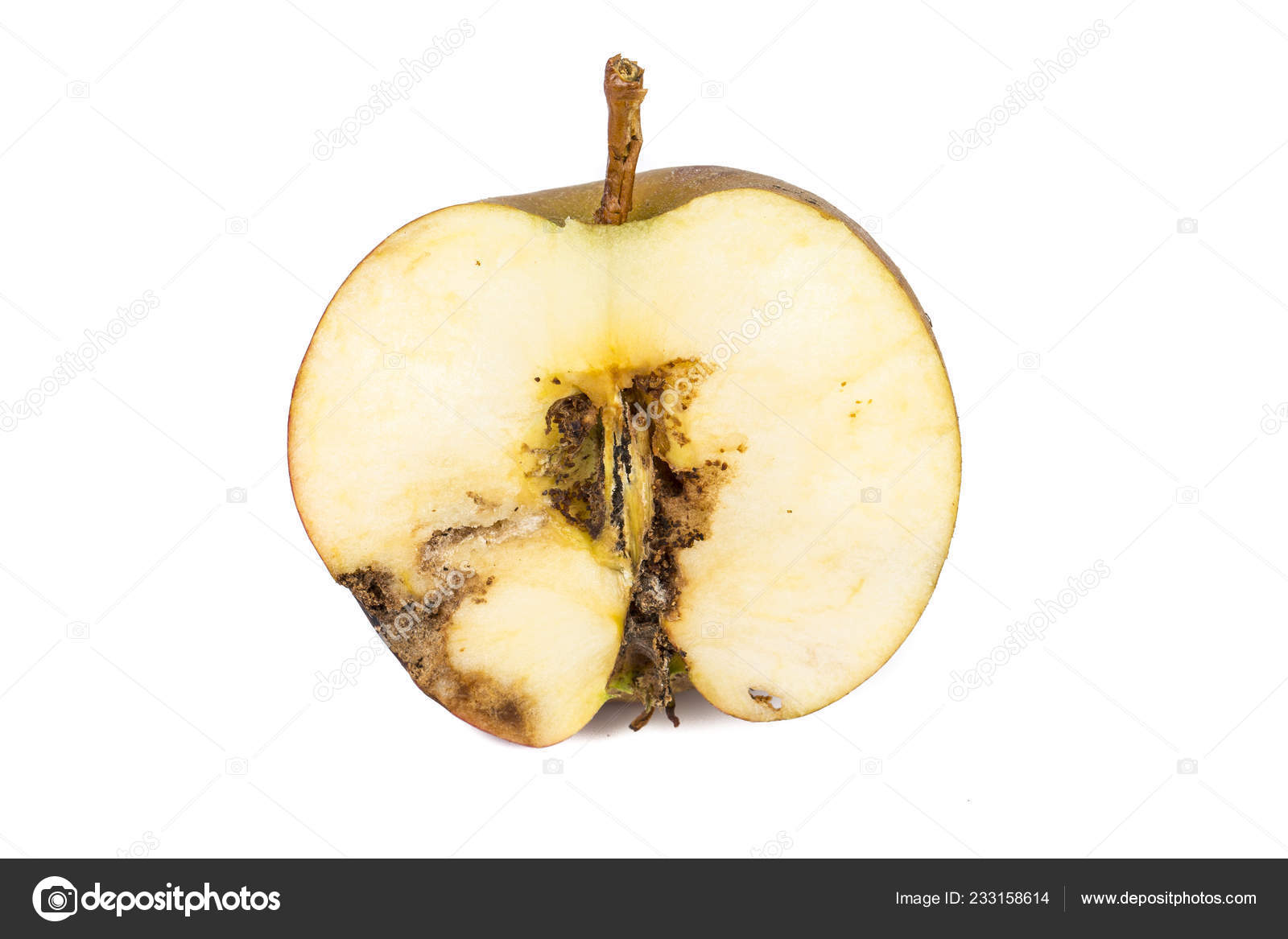 Close Boring Trace Codling Moth Cydia Pomonella Half Wormy Apple Stock ...