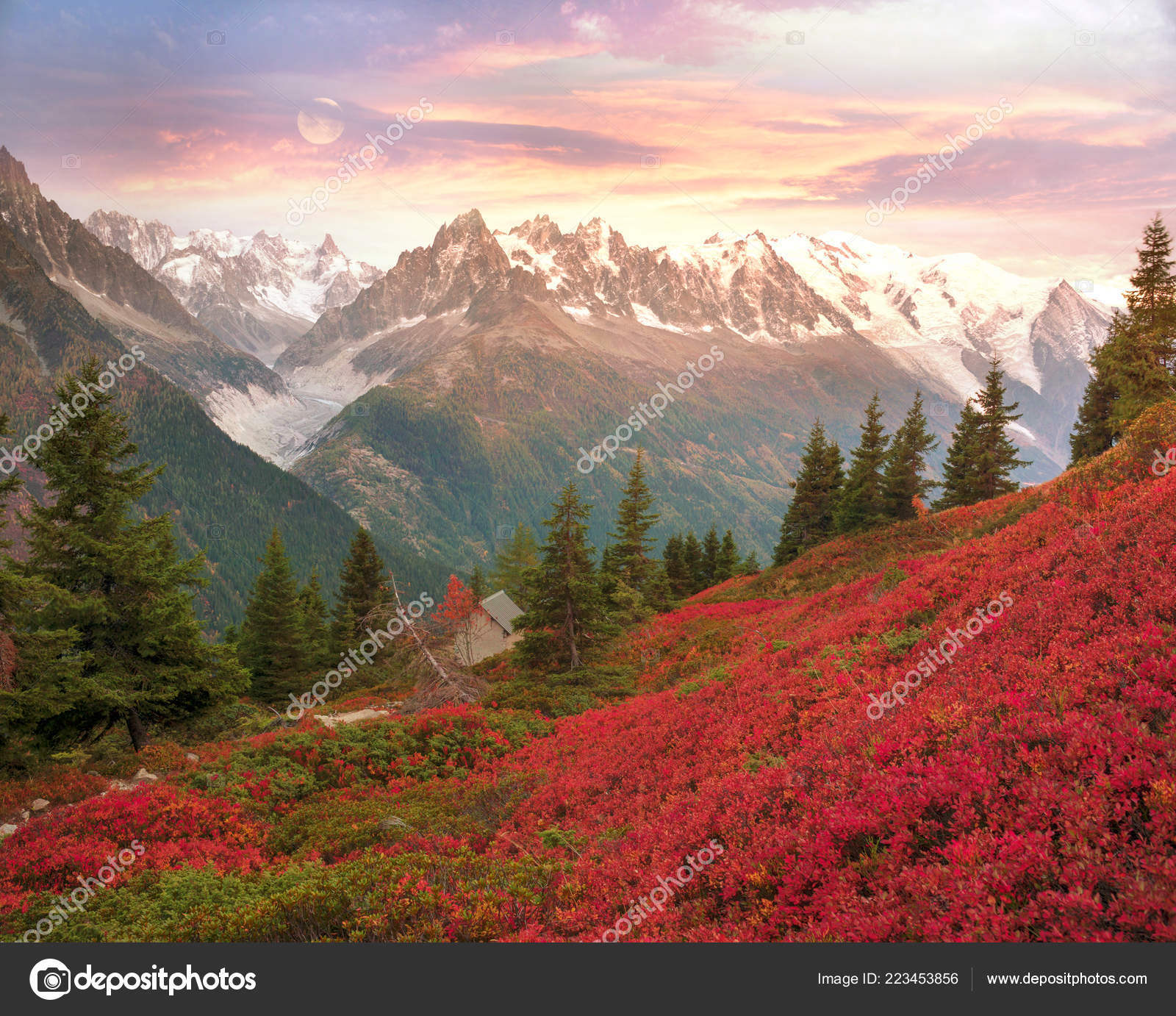 Mont Blanc Chamonix Autumn Picturesque Meadows Highland Berry Bushes ...