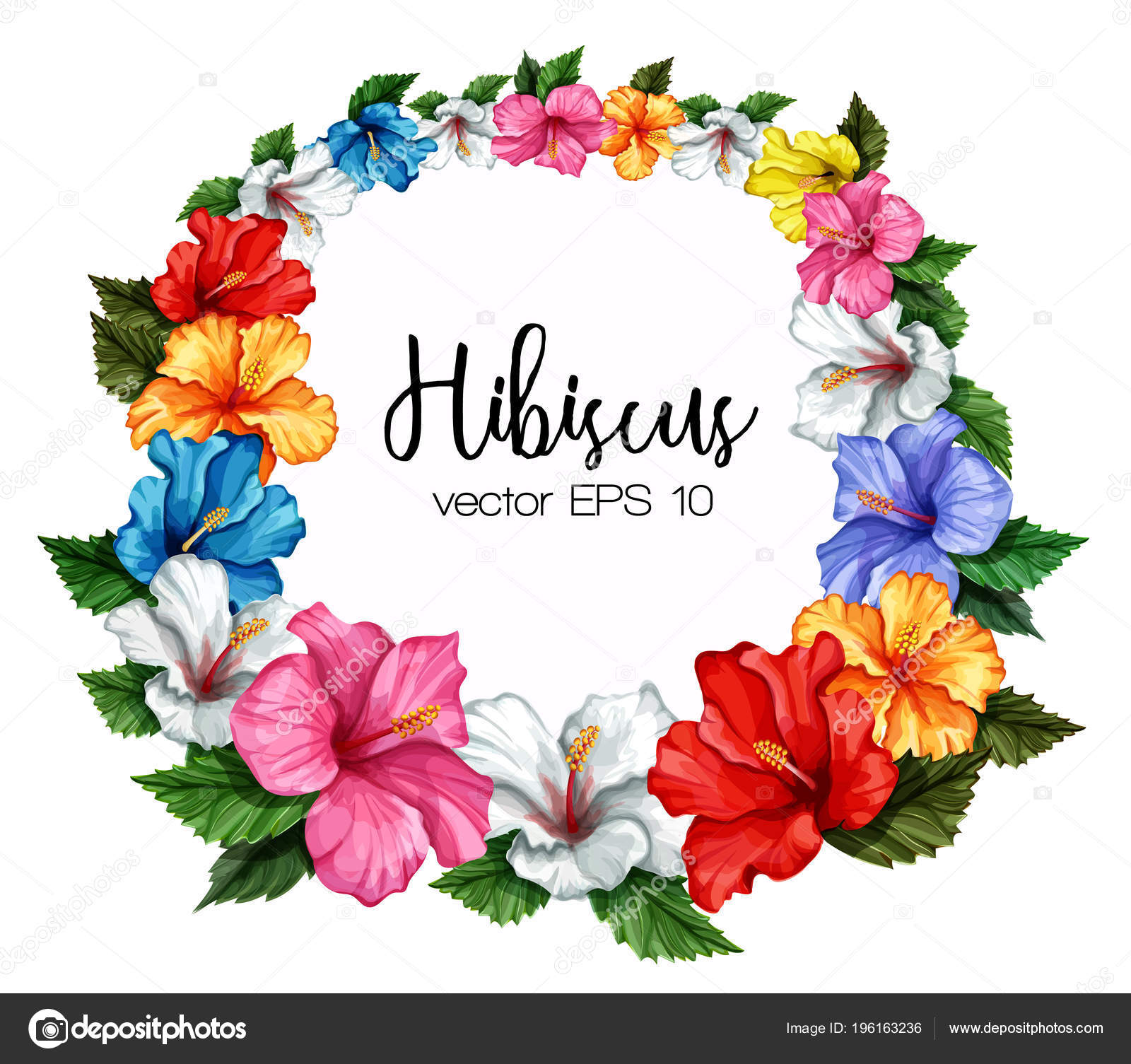 Hawaiian Flower Frame