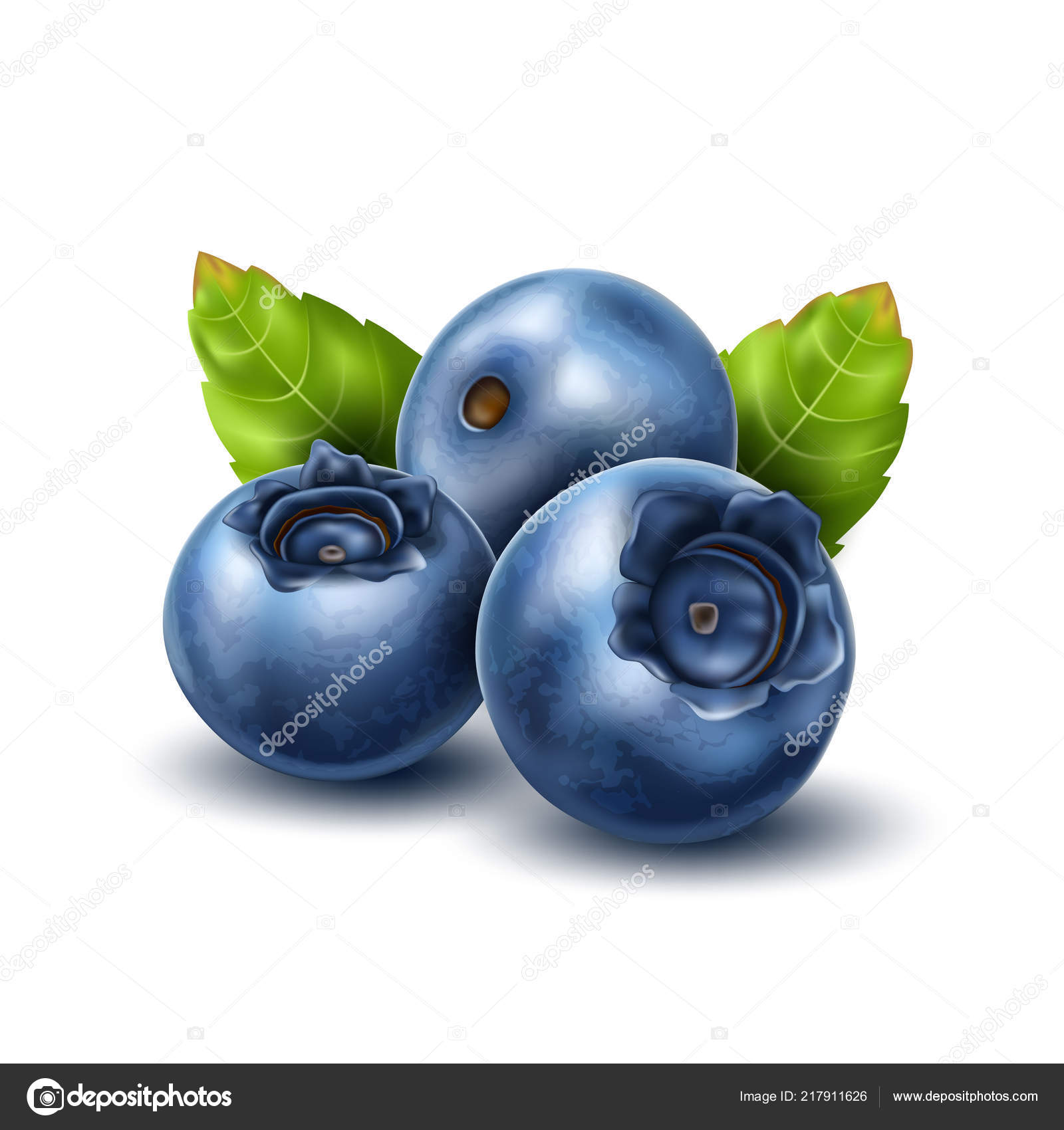 Vector realistic blueberry with 3d leaves set Stock Vector Image by ©IrinaBelokrylova #217911626