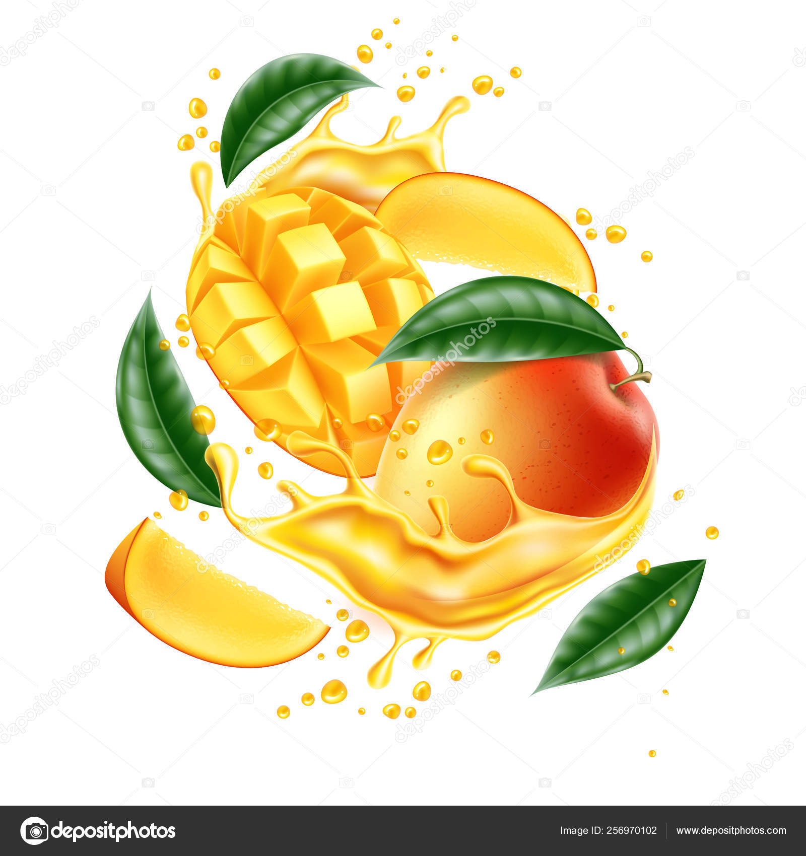 Mango Juice Vector