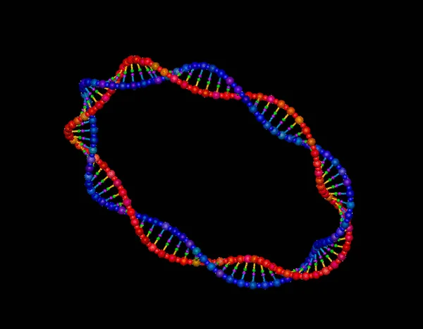 18,601,425 Dna circle Vector Images | Depositphotos