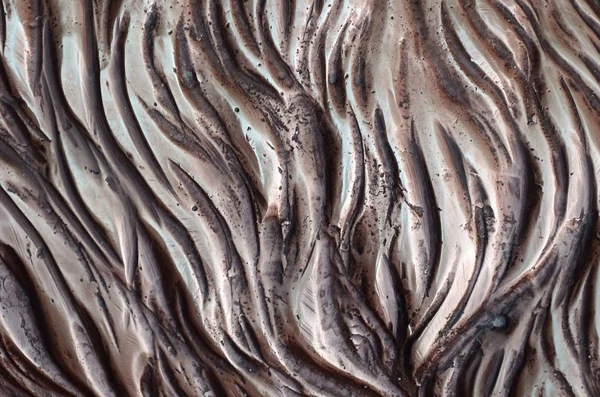 Details and decorative bas-relief ornament from metal of forged ...