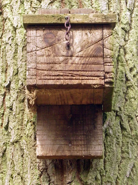 Three Bat Boxes Attached Tree Trunk Shows How Should Spaced Stock Photo ...