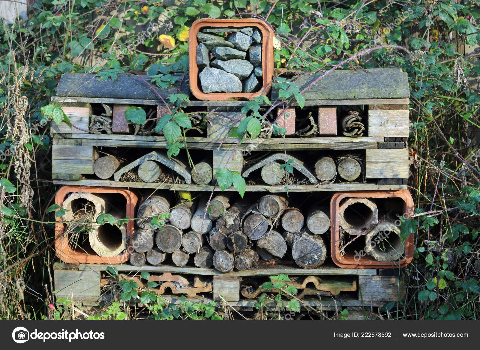Bug Hotel Insects Other Invertebrates Made Wooden Pallets Pipes Roofing ...