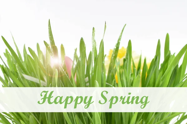 Happy friday spring Stock Photos, Royalty Free Happy friday spring ...