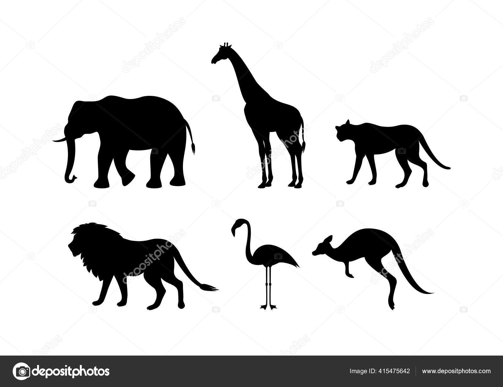 Verschillende Soorten Wilde Dieren Silhouet Pictogram Set Vector Zwarte ...