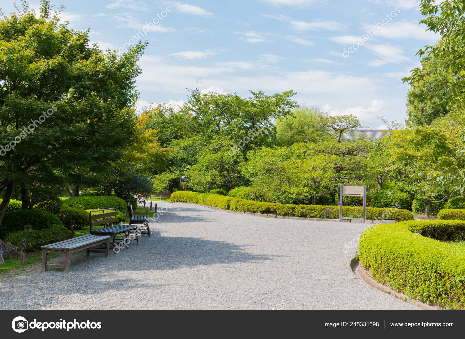 Beautiful Garden Daytime Outdoor Nature Background Evergreen Garden ...