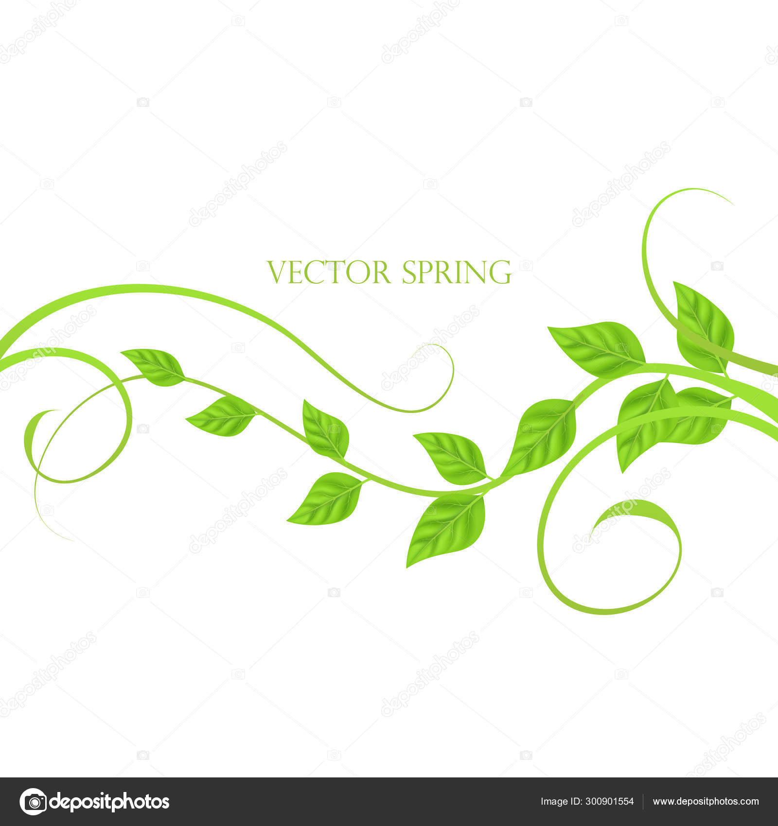 Vector spring, leaf sprig. Green young leaves on a white background ...