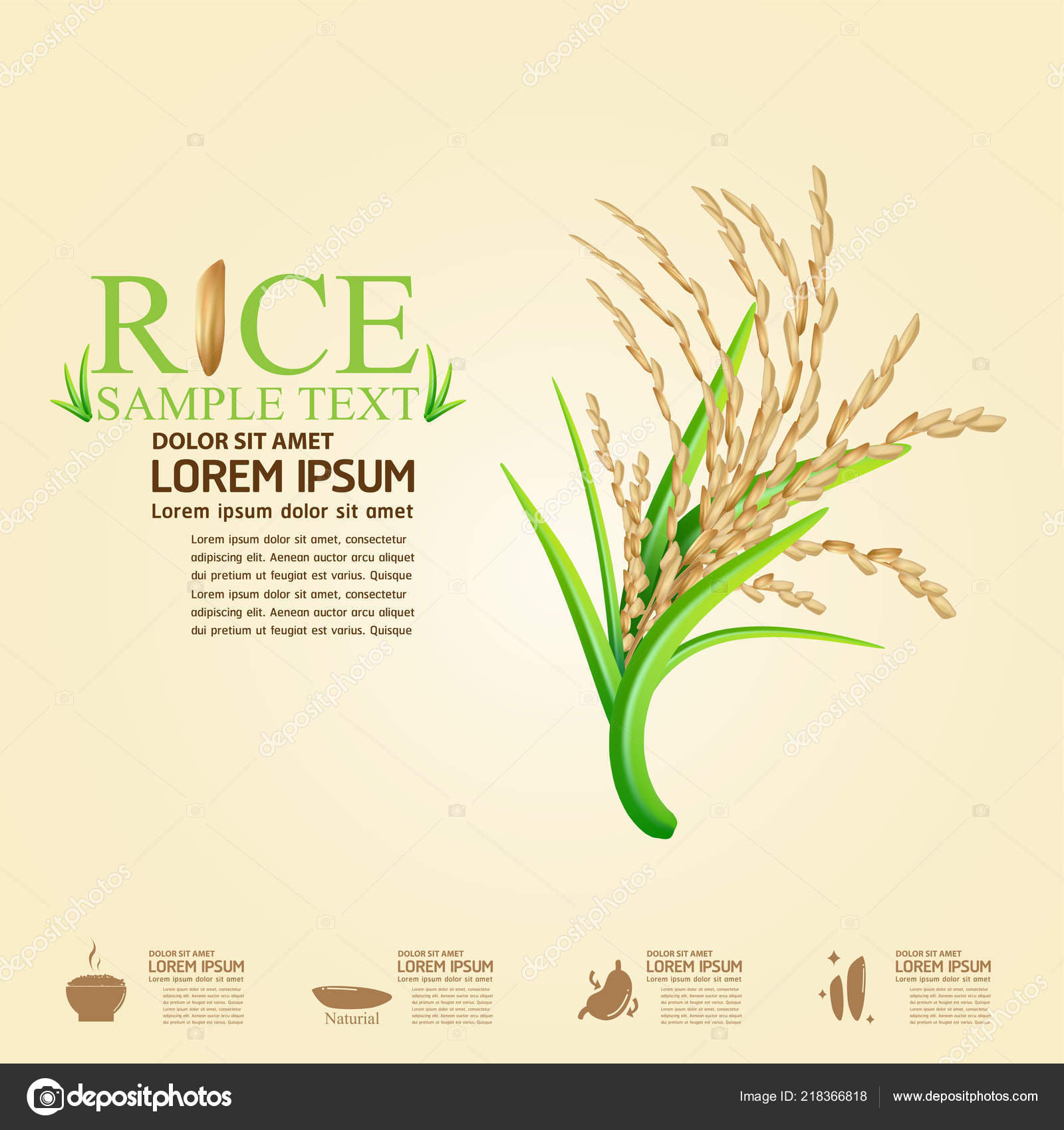 Rice Vector Background Products Stock Photo by ©Space-Vector 218366818