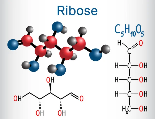 Linear Form Acyclic Deoxyribose Molecule Monosaccharide Deoxy Sugar ...