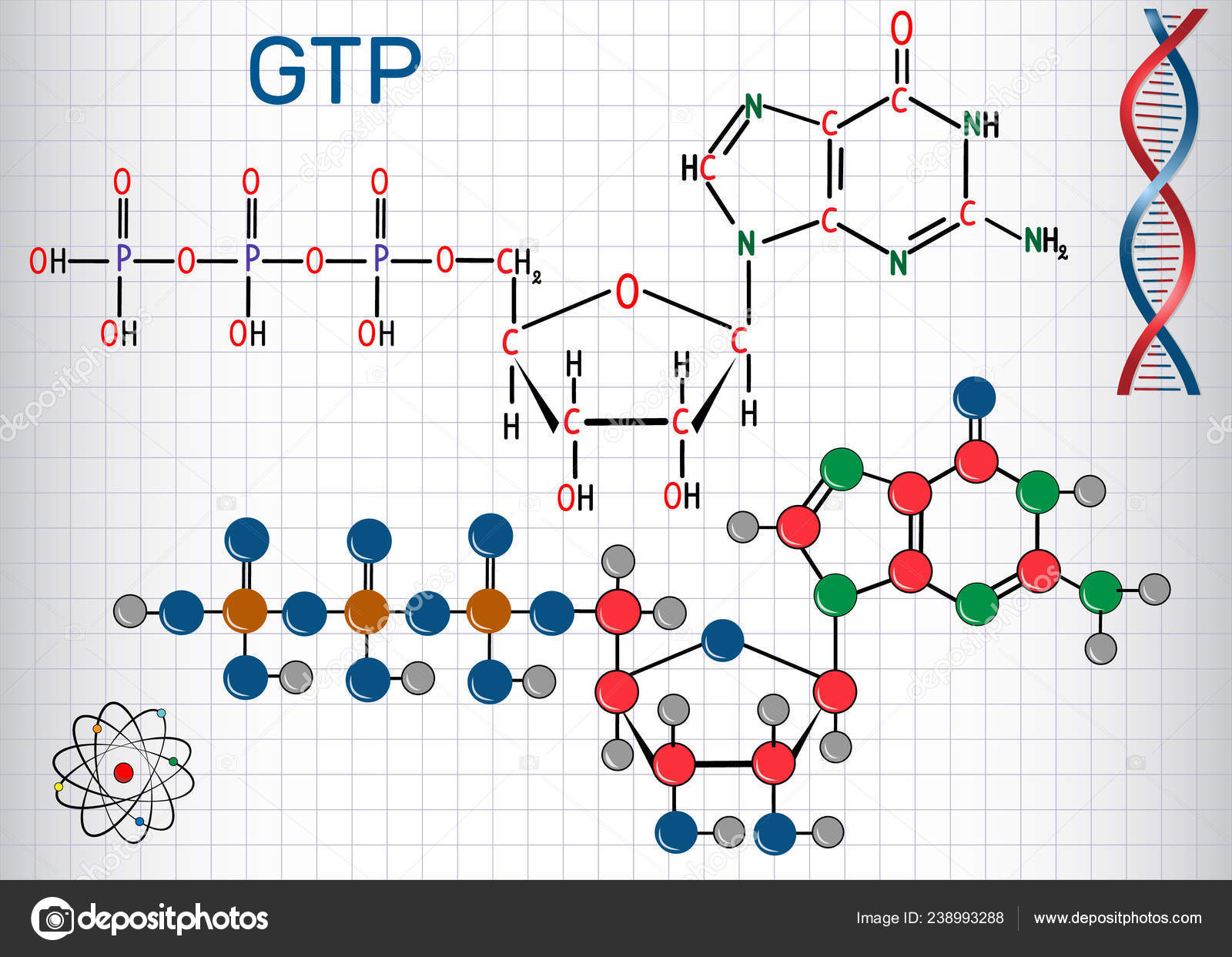 Guanosine Triphosphate Gtp Molecule Used Synthesis Rna Source Energy ...