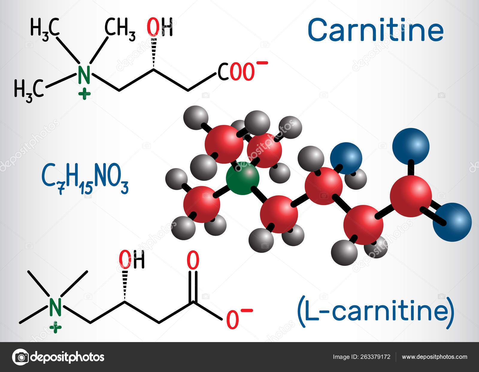 Carnitine L-carnitine molecule. Structural chemical formula and ...