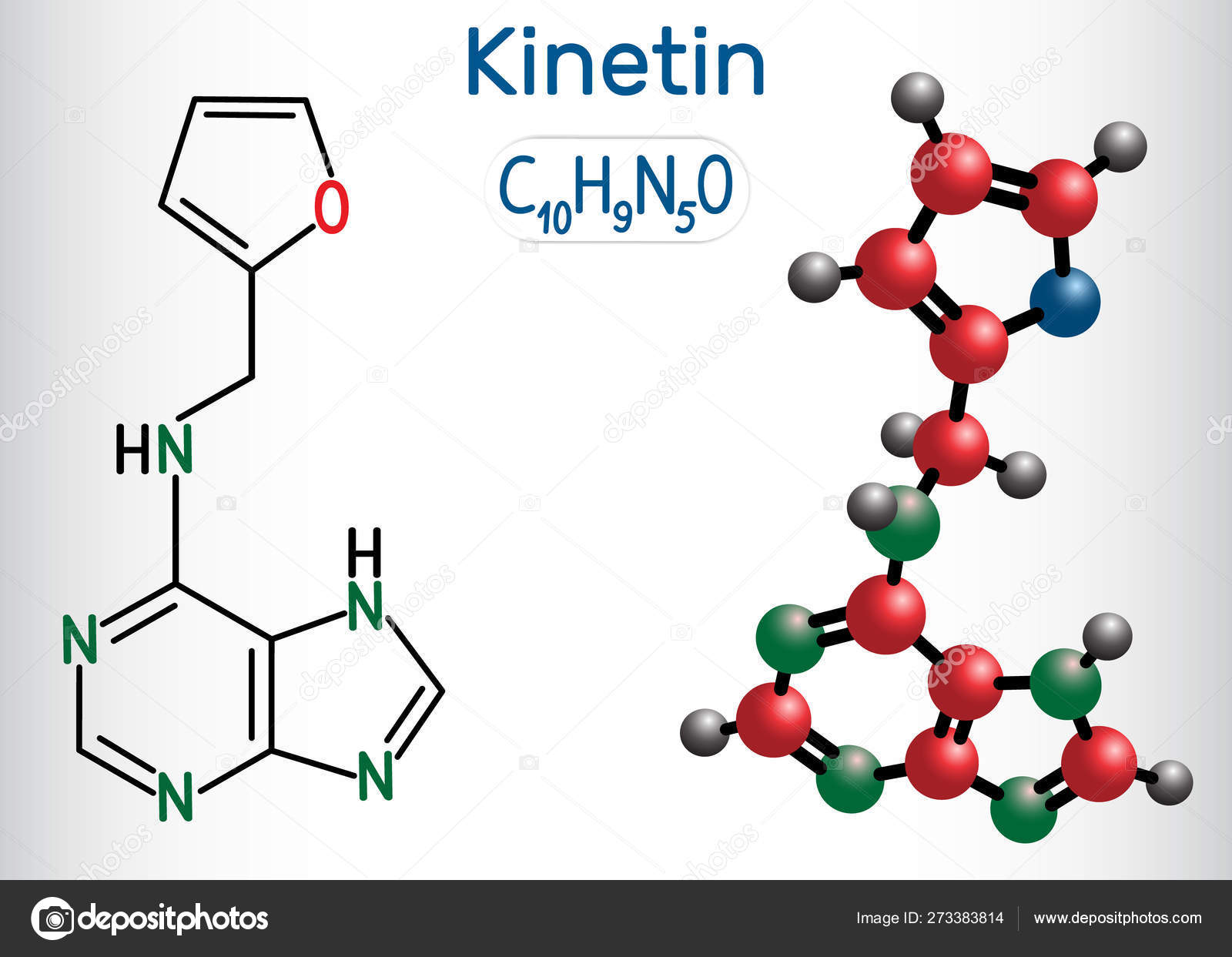 Kinetin N6-furfuryladenine molecule. It is plant hormone. Structural ...