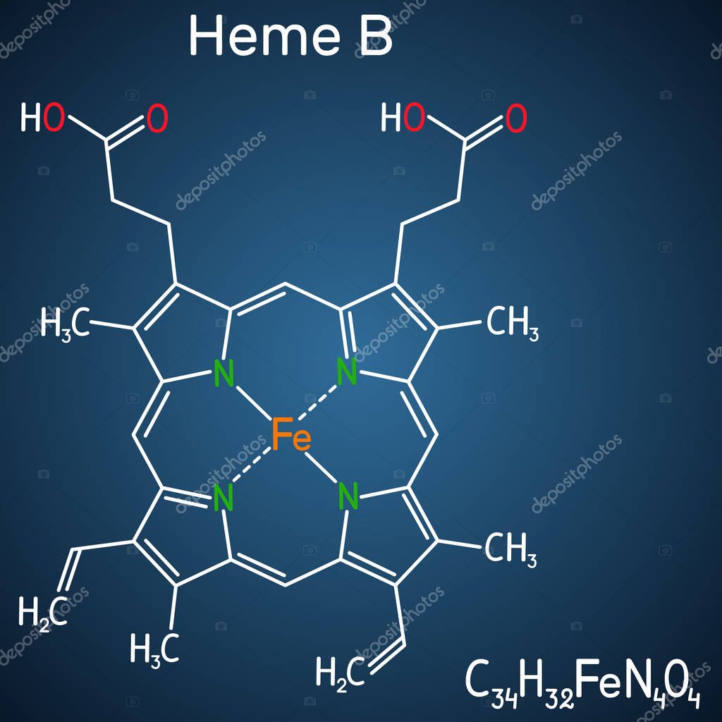 Heme B, haem B, protoheme IX molécula. Es componente de las familias de ...