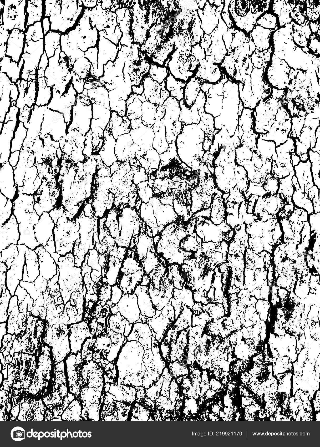 Tree Bark Background Vector