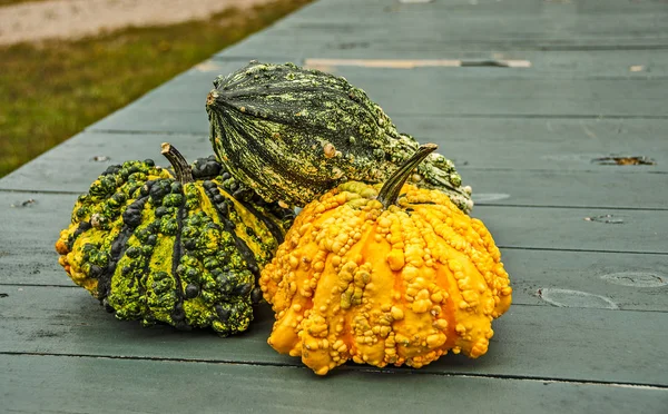 Bumpy gourds Stock Photos, Royalty Free Bumpy gourds Images | Depositphotos