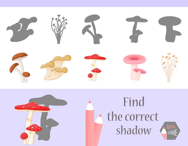 100,000 Anatomia dei funghi Vector Images | Depositphotos