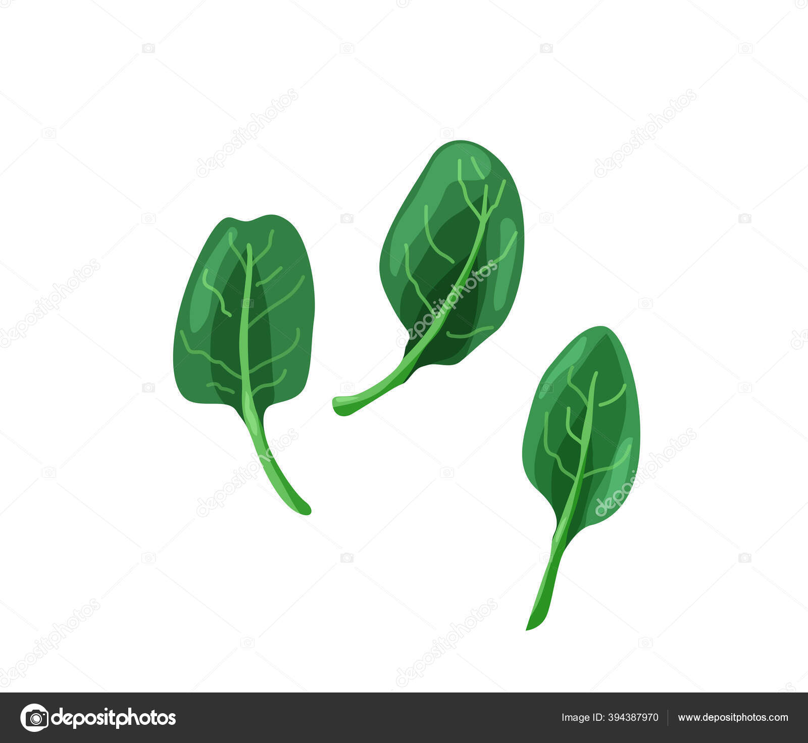 Espinaca bebé verde en dibujos animados de color brillante estilo plano ...