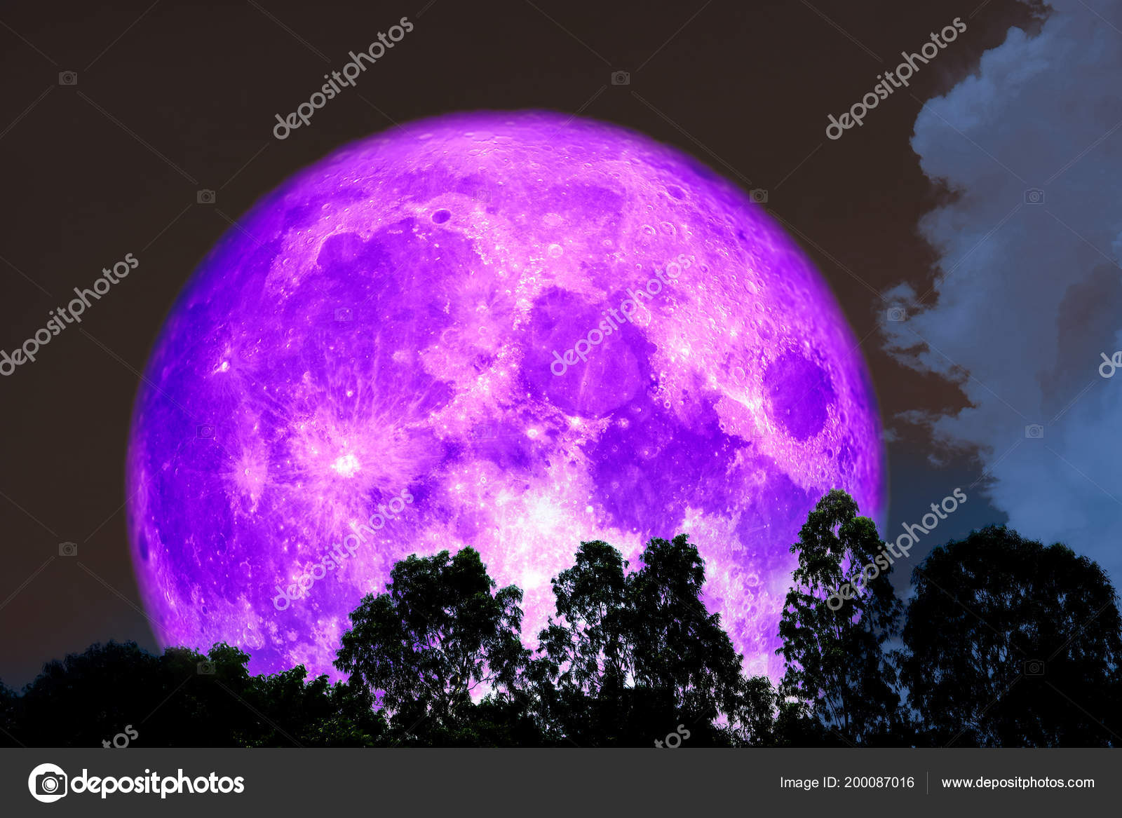 Purple Moon Nasa