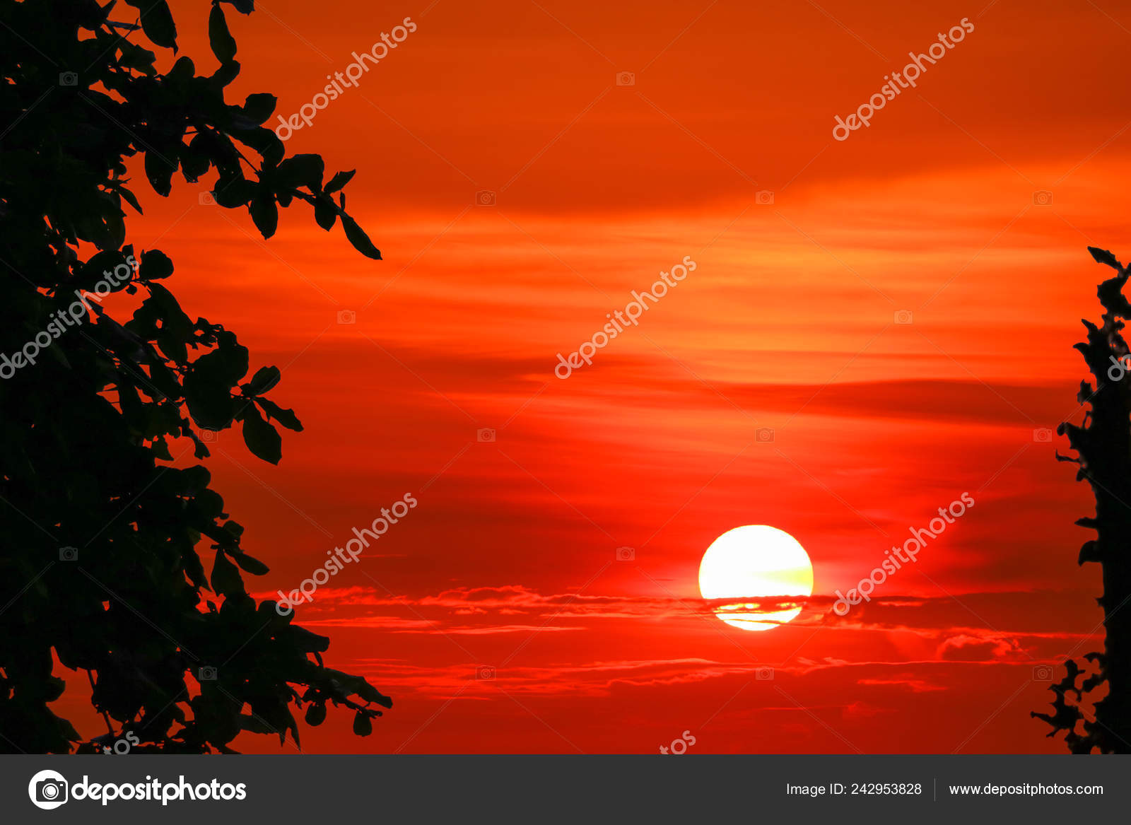 Sunset Colorful Flame Cloud Silhouette Tree Dark Red Sky — Stock Photo ...