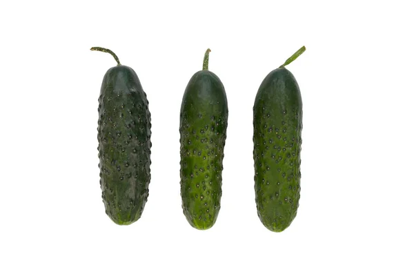 Blue pickle background Stock Photos, Royalty Free Blue pickle ...