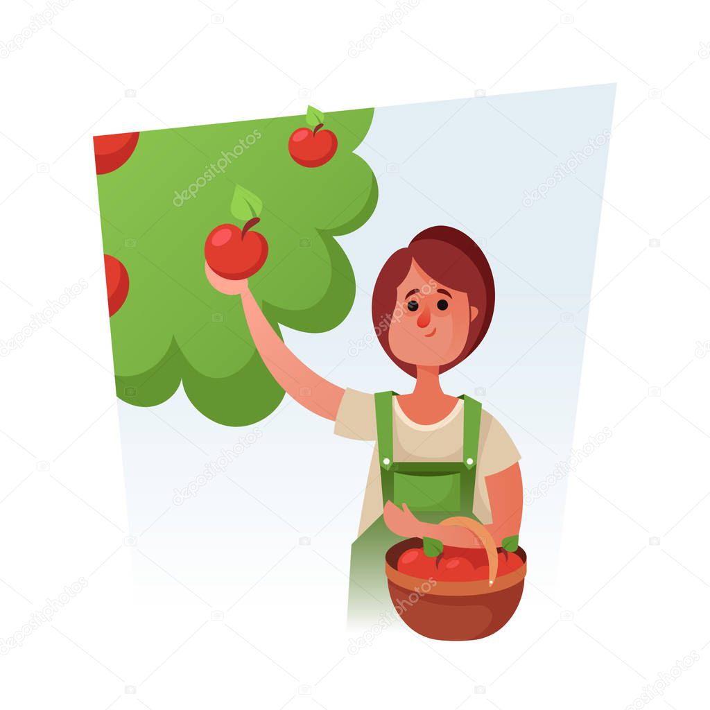 Lindo personaje de dibujos animados. Mujer bonita recogiendo manzanas. Ilustraci n vectorial 2024