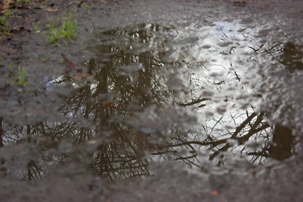 Aguas pluviales Stock Photos, Royalty Free Aguas pluviales Images | Depositphotos