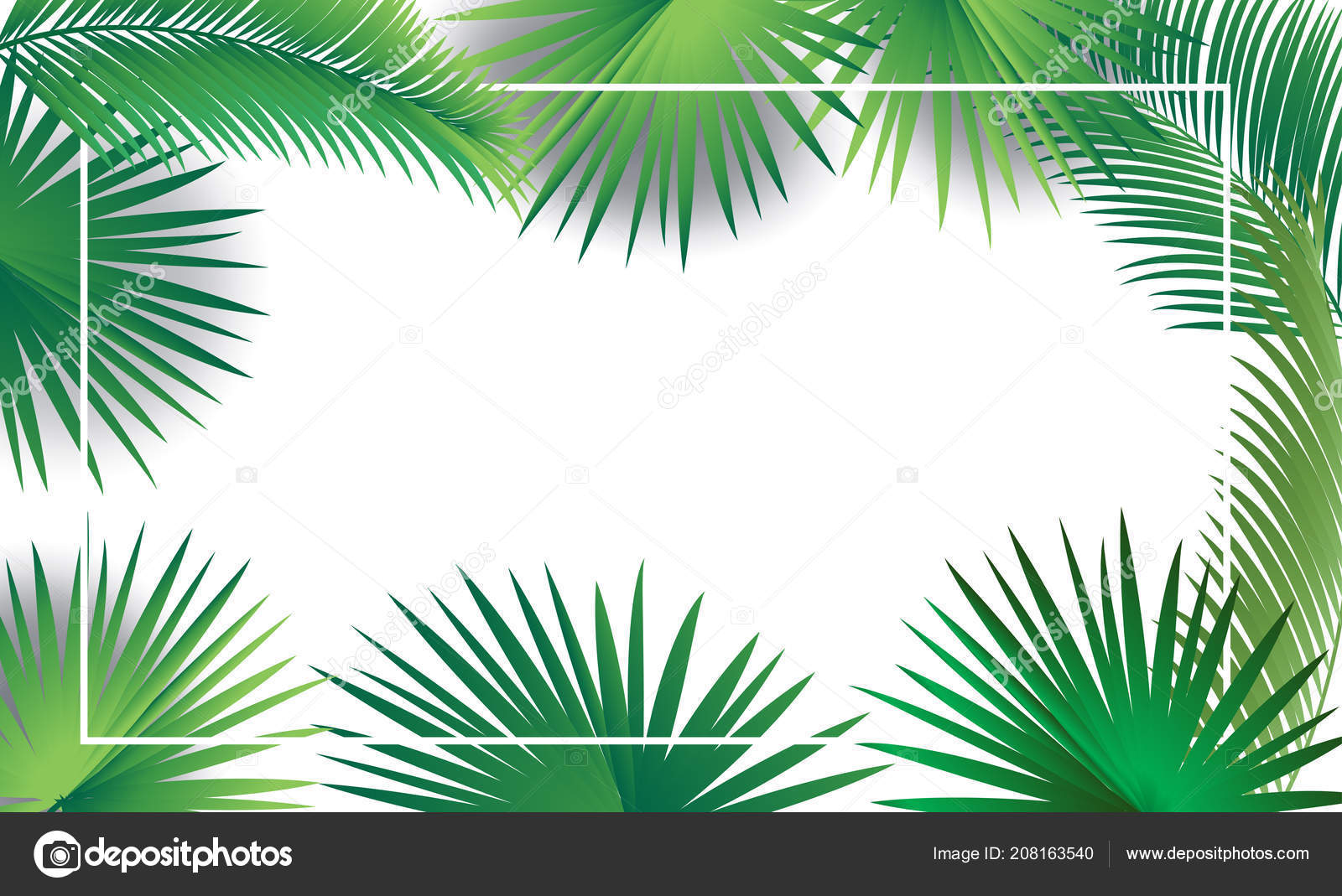 Palm Trees Clip Art Border