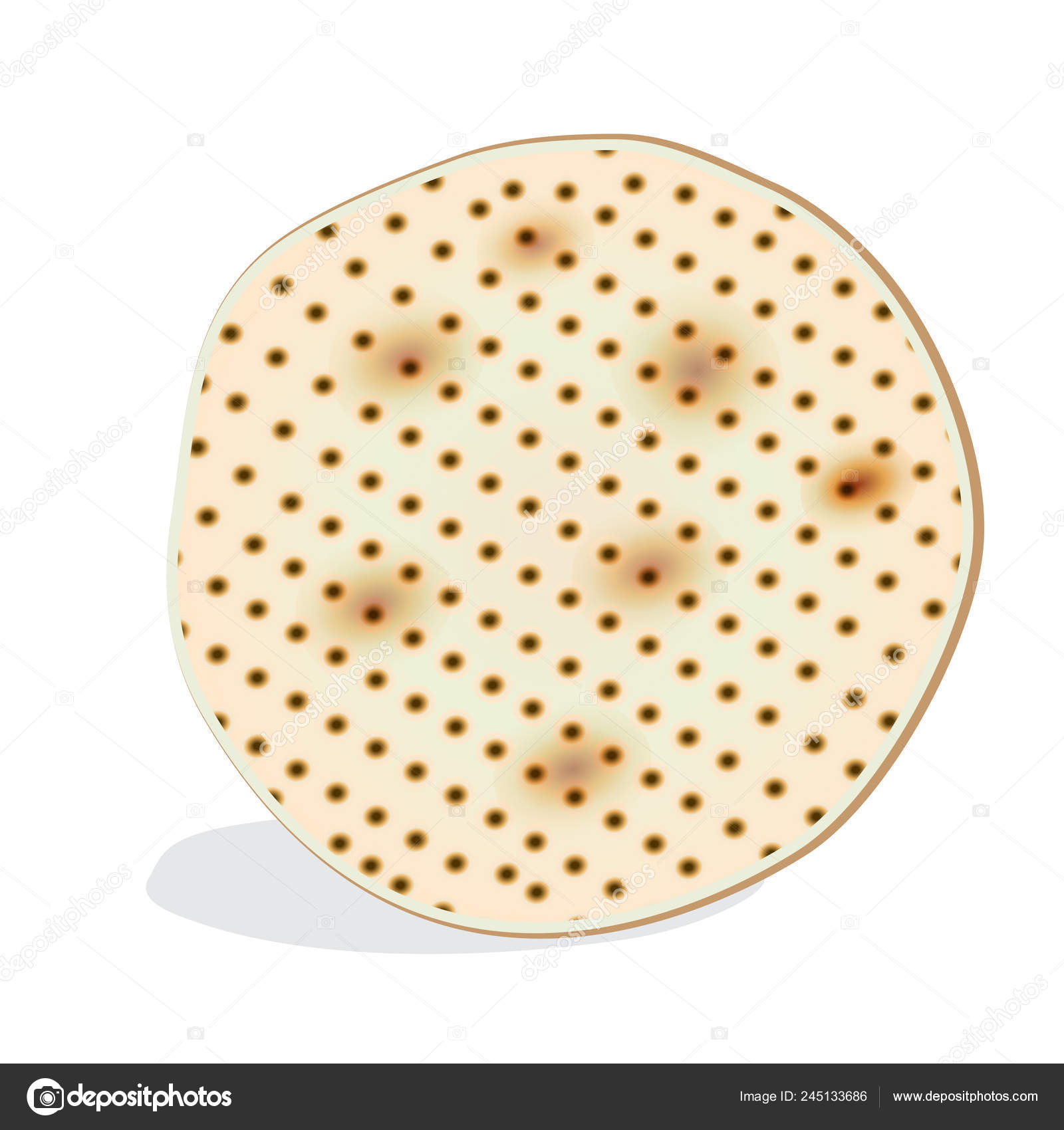 Passover Holiday Matzah Symbol Isolated White Background Matzah Jewish ...