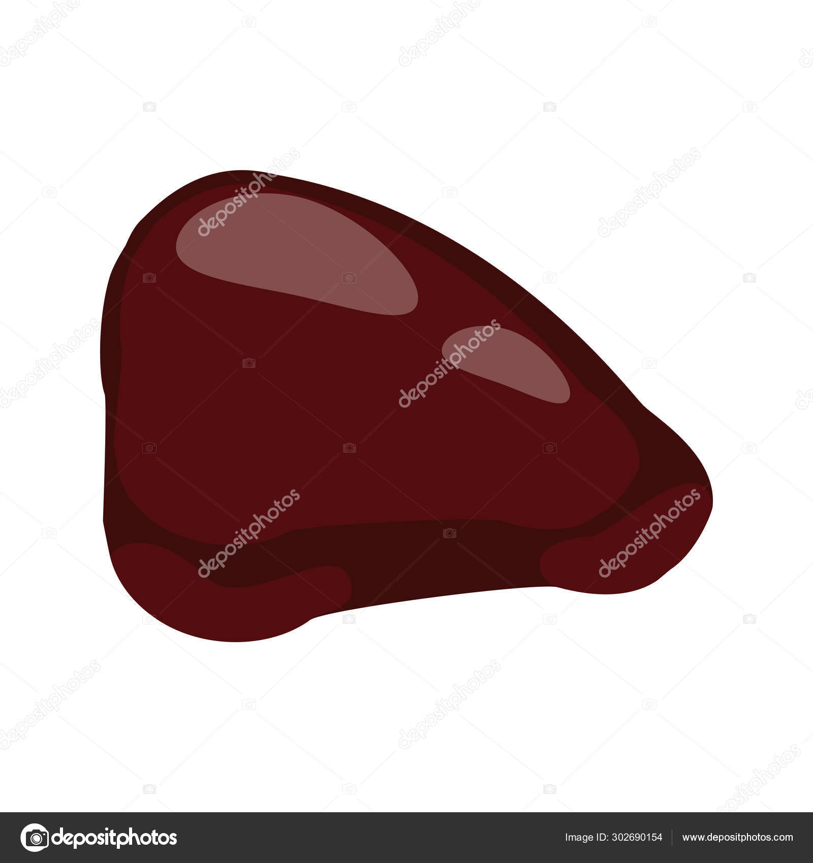 Beef liver illustration Stock Illustration by ©parkheta.gmail.com ...
