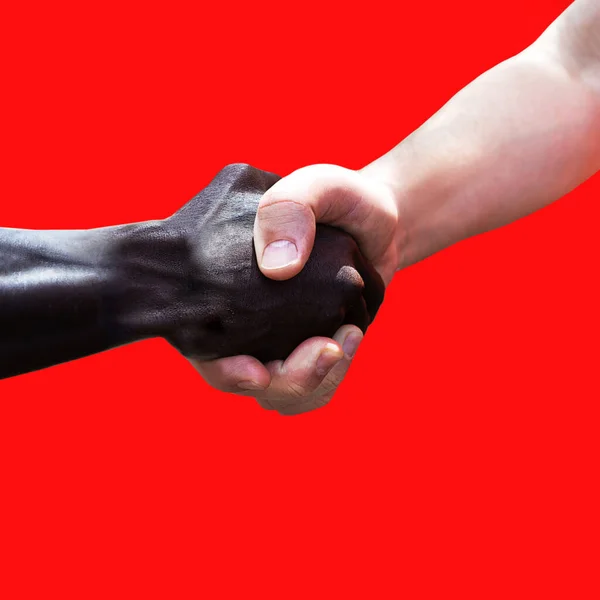 Different Races Hands