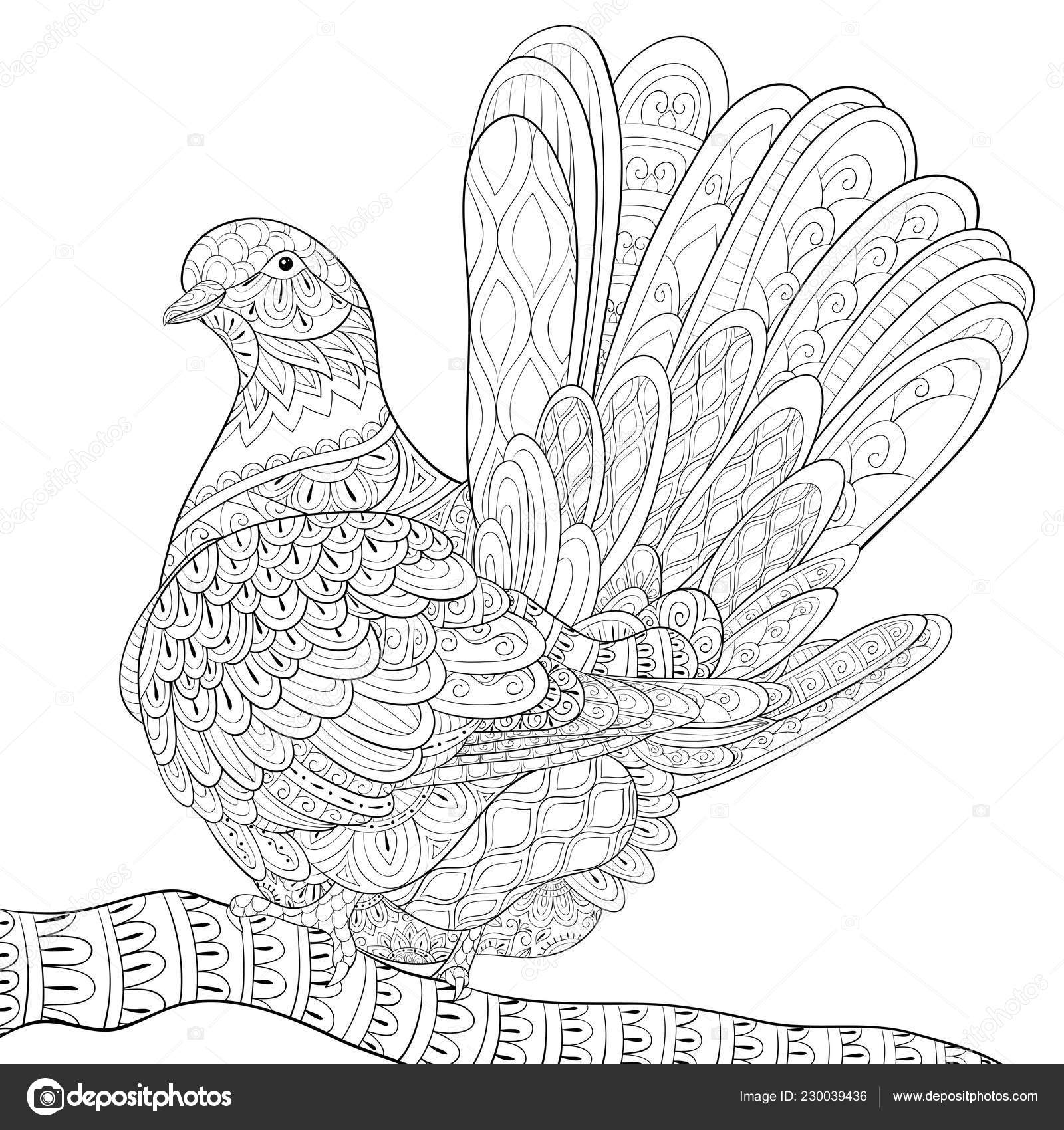 Cute Dove Brunch Image Adults Zen Art Style Illustration Relaxing Stock ...