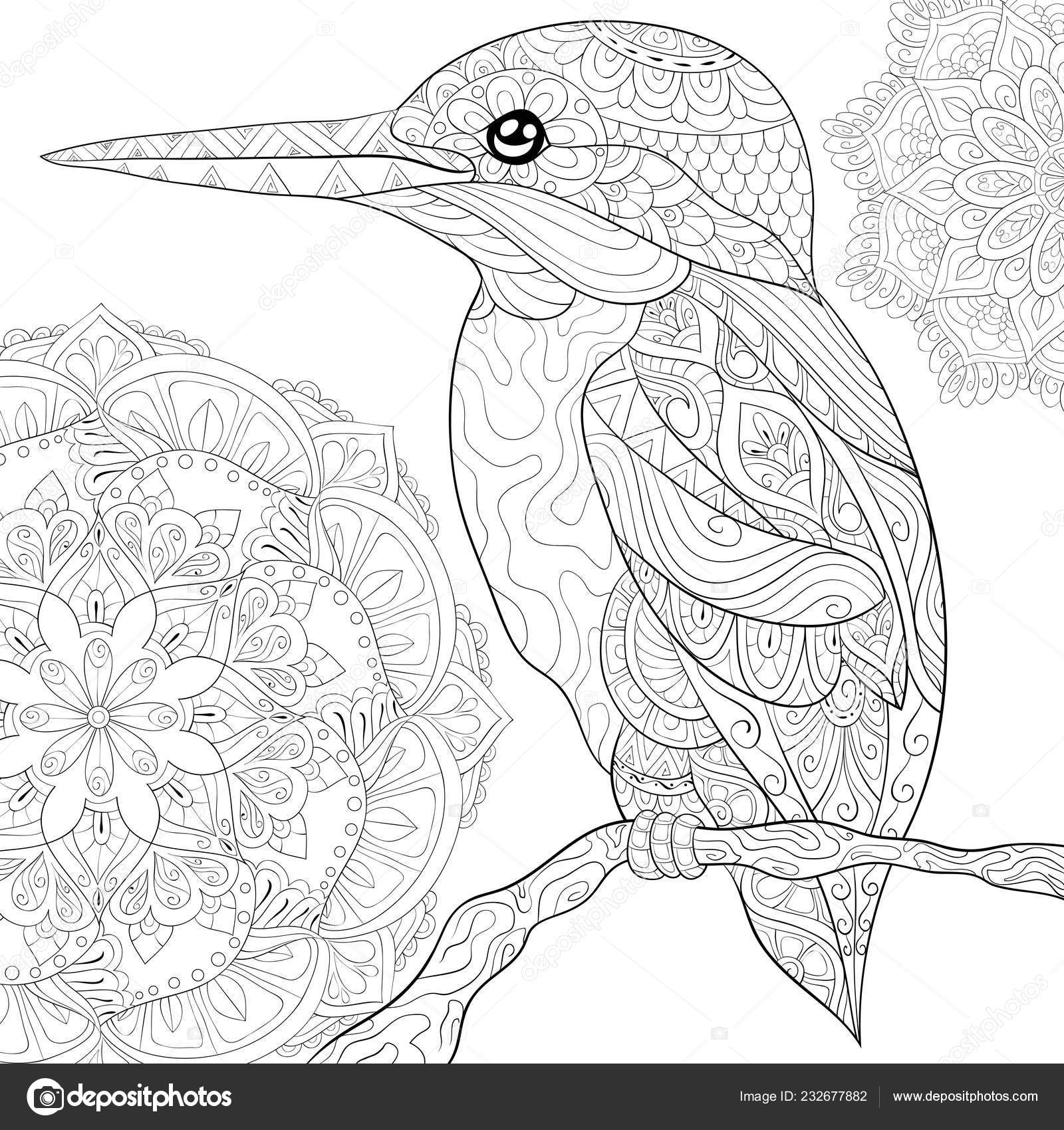 Cute Bird Brunch Abstract Background Image Relaxing Activity Coloring ...
