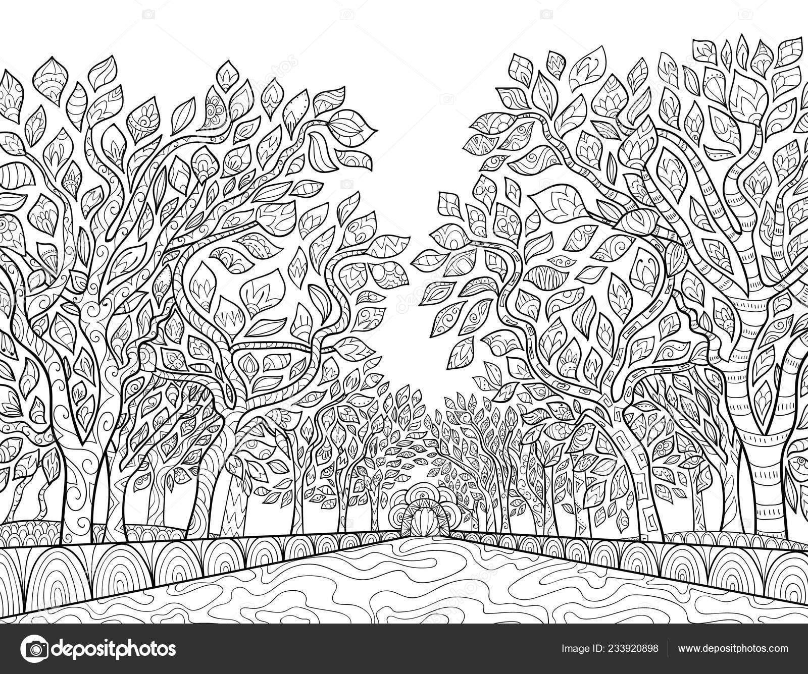 Drum Drăguț Într Parc Copaci Imagine Pentru Activitatea Carte Colorat ...