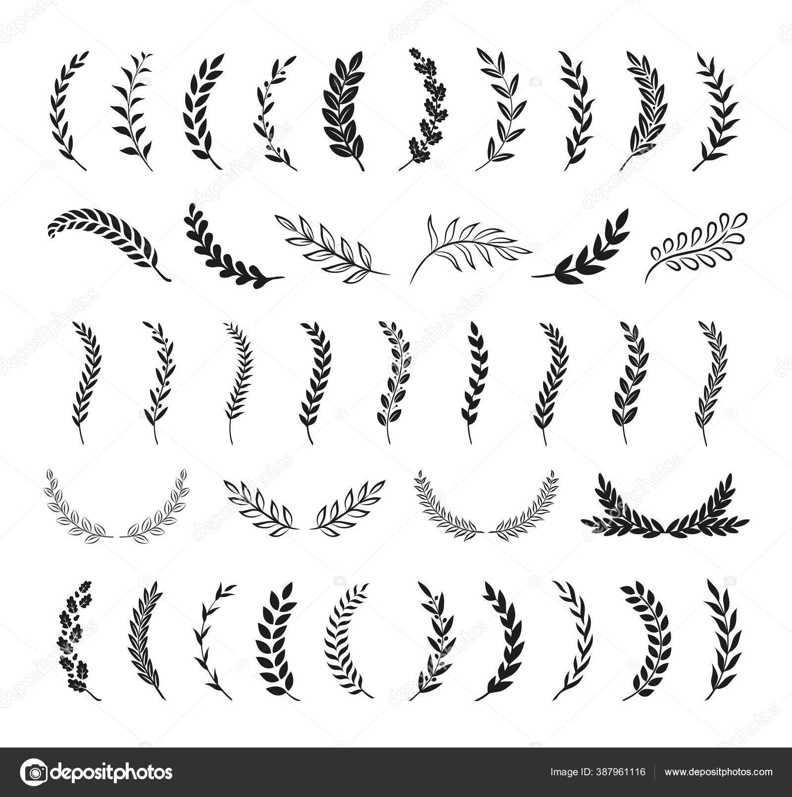 Horizontal Vine Clipart Greek