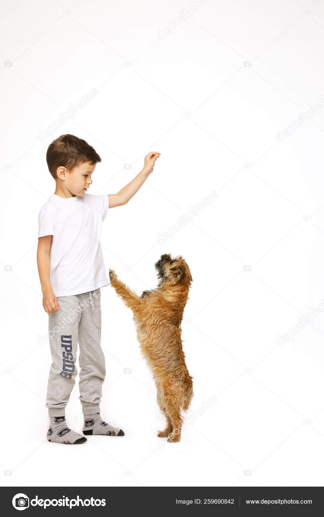 Little boy is training the dog studio shot Stock Photo by ©gorov108 ...