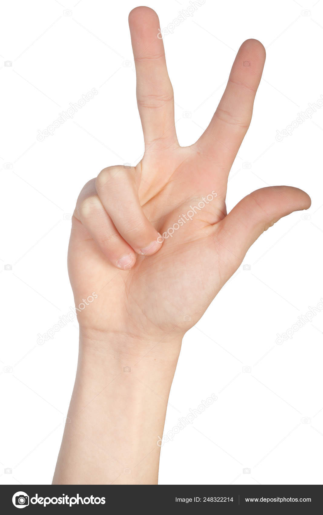 Alphabet in American Sign Language — Stock Photo © Triumph0828 #248322214