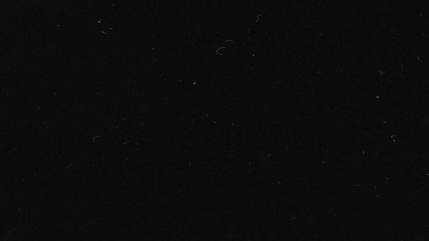 Film noise or grain seamless texture. Retro template. Opacity or screen ...