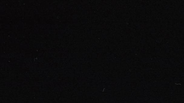 Film noise or grain seamless texture. Retro template. Opacity or screen ...