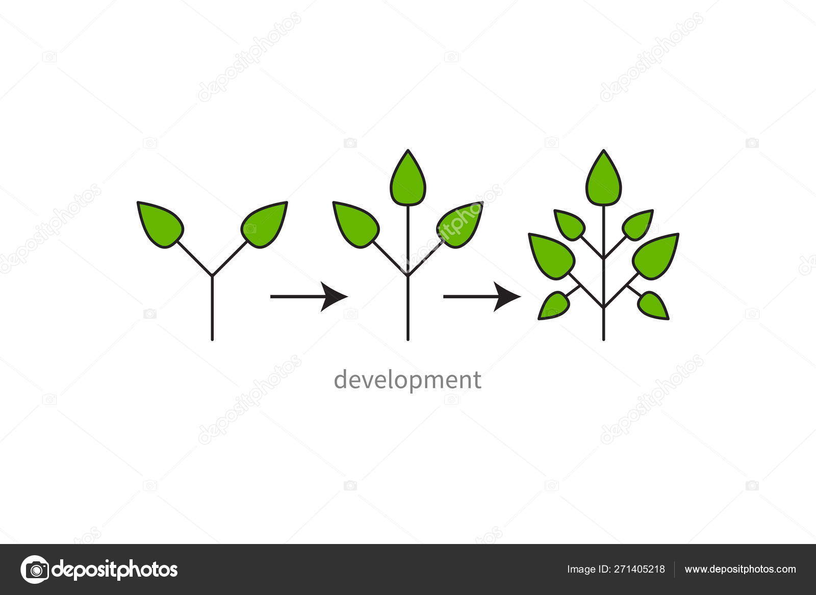Development, growth, evolution icon Stock Vector Image by ©tomozina1 ...