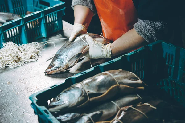 Fish factory Stock Photos, Royalty Free Fish factory Images | Depositphotos