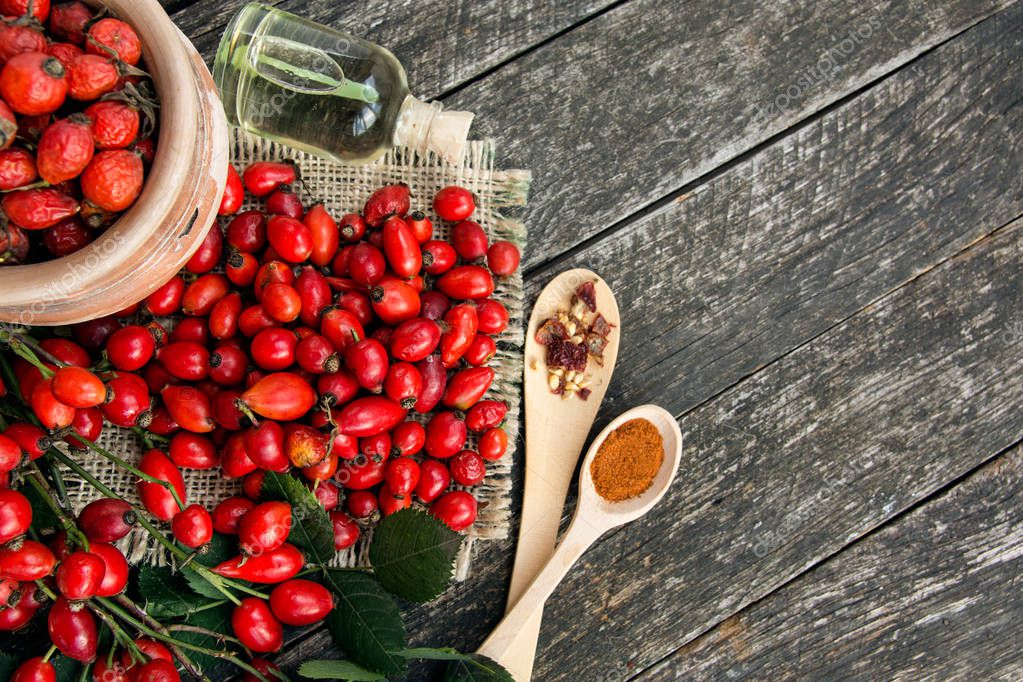 taza de hierbas Perro rosa t con rama de racimo Rosa mosqueta, tipos ...