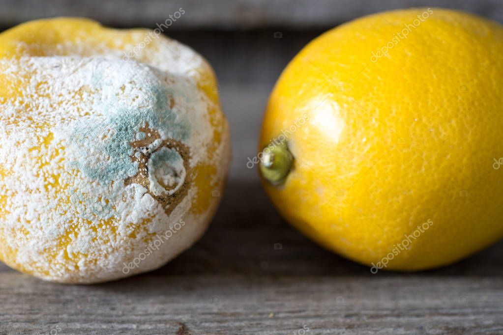 Limón fresco y podrido. fruta con molde sobre fondo de madera 2022