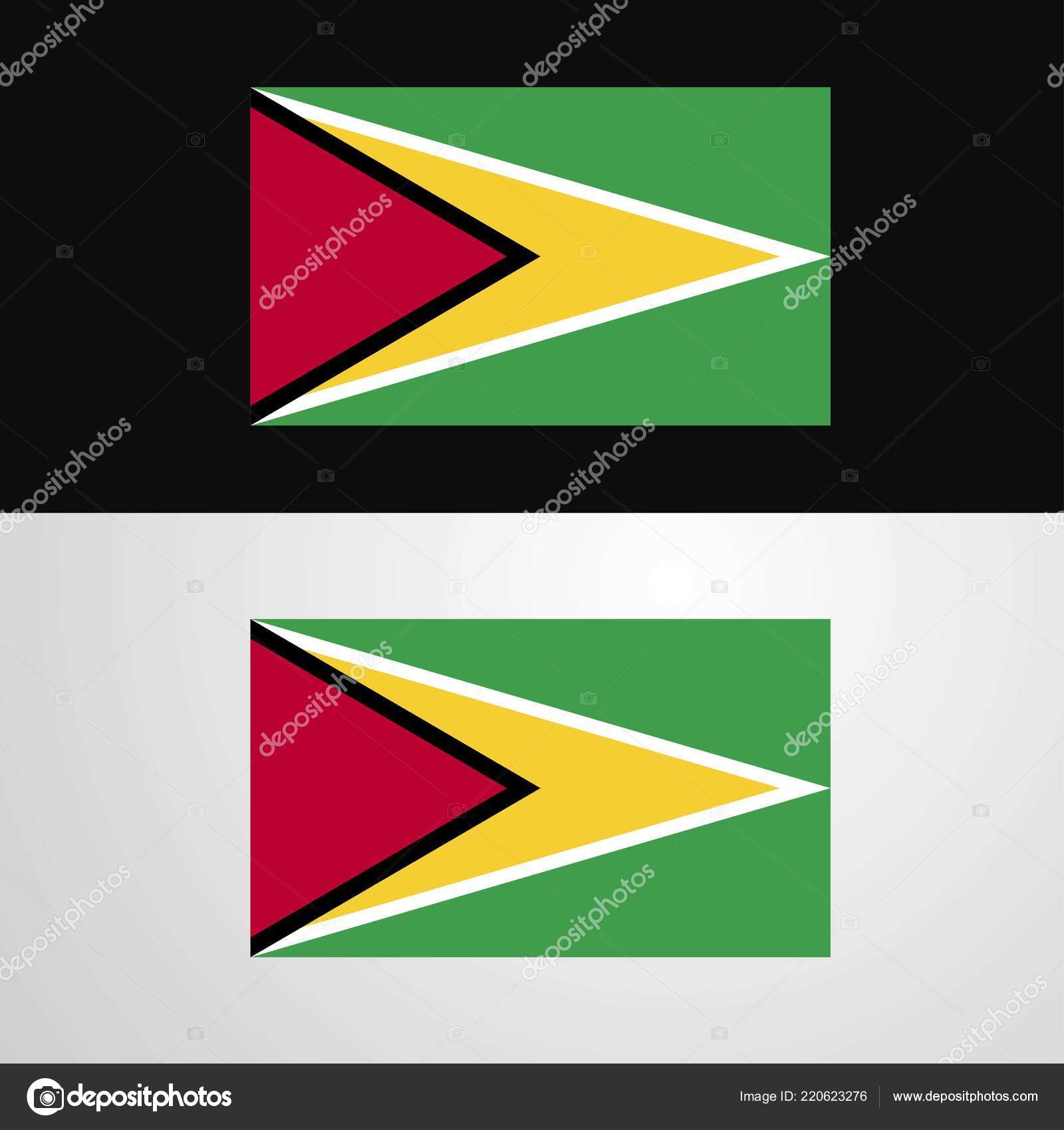 Guyana Flag Banner Design Stock Vector by ©ibrandify 220623276